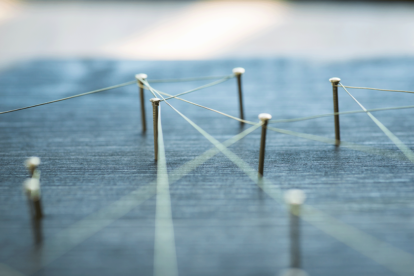 Top 5 Reasons Why Your Company Should Start IP Screening | Descartes ...